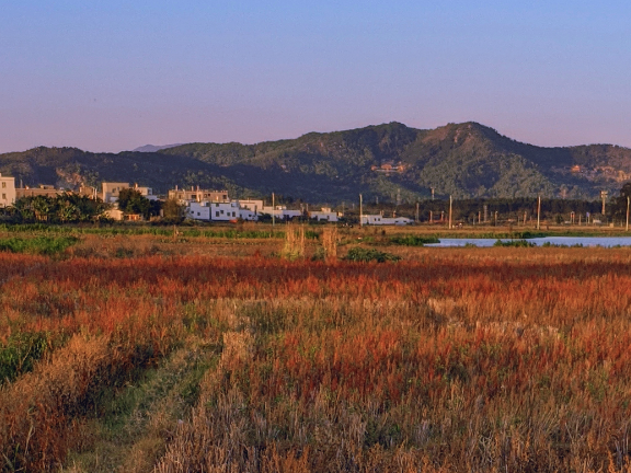 怀念的田野色彩_一LOSTAR一-站酷ZCOOL