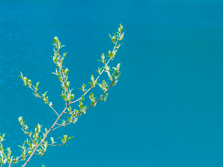 2022五一川西 _PuTiger-站酷ZCOOL