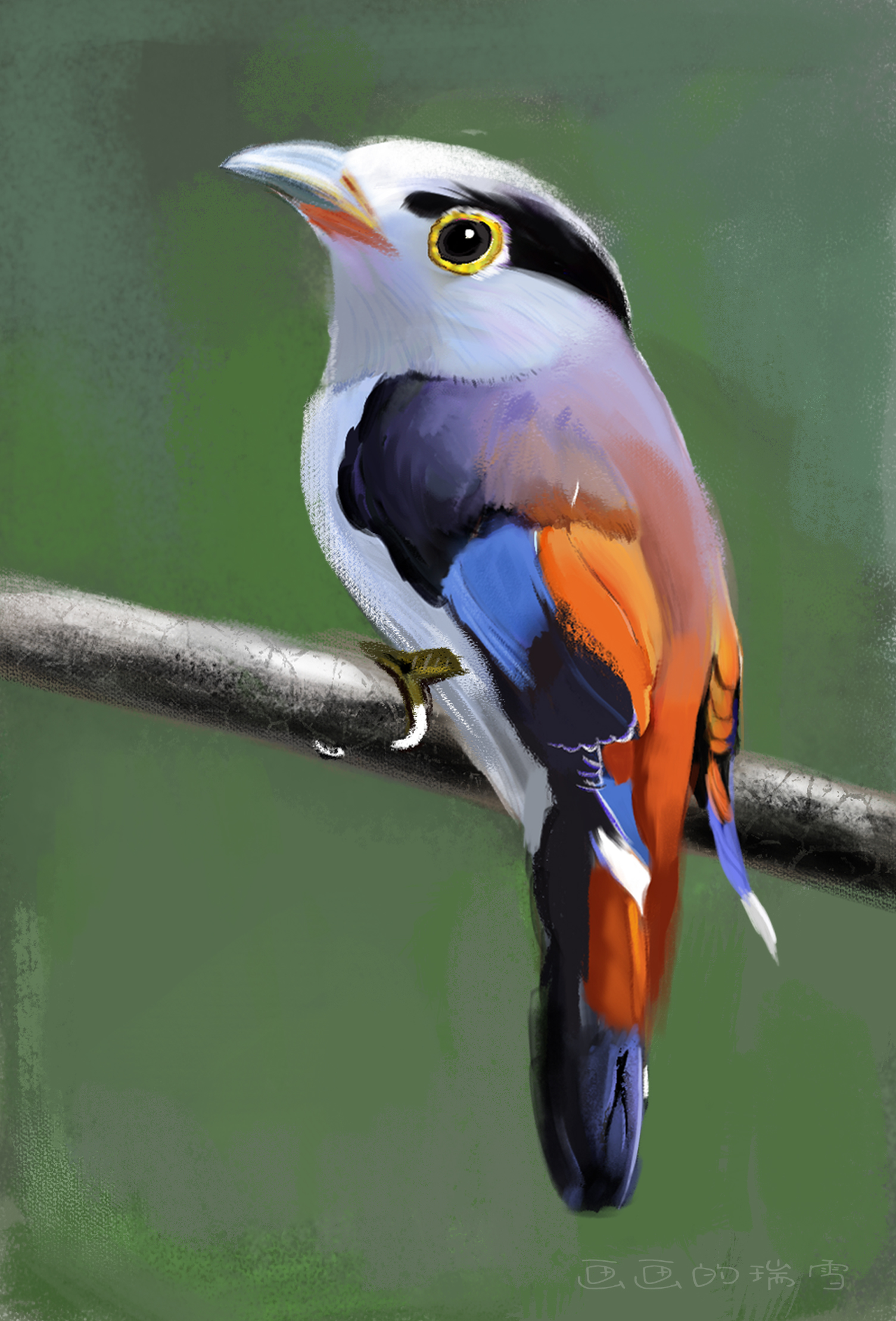 鸟儿_火烈鸟YY-站酷ZCOOL