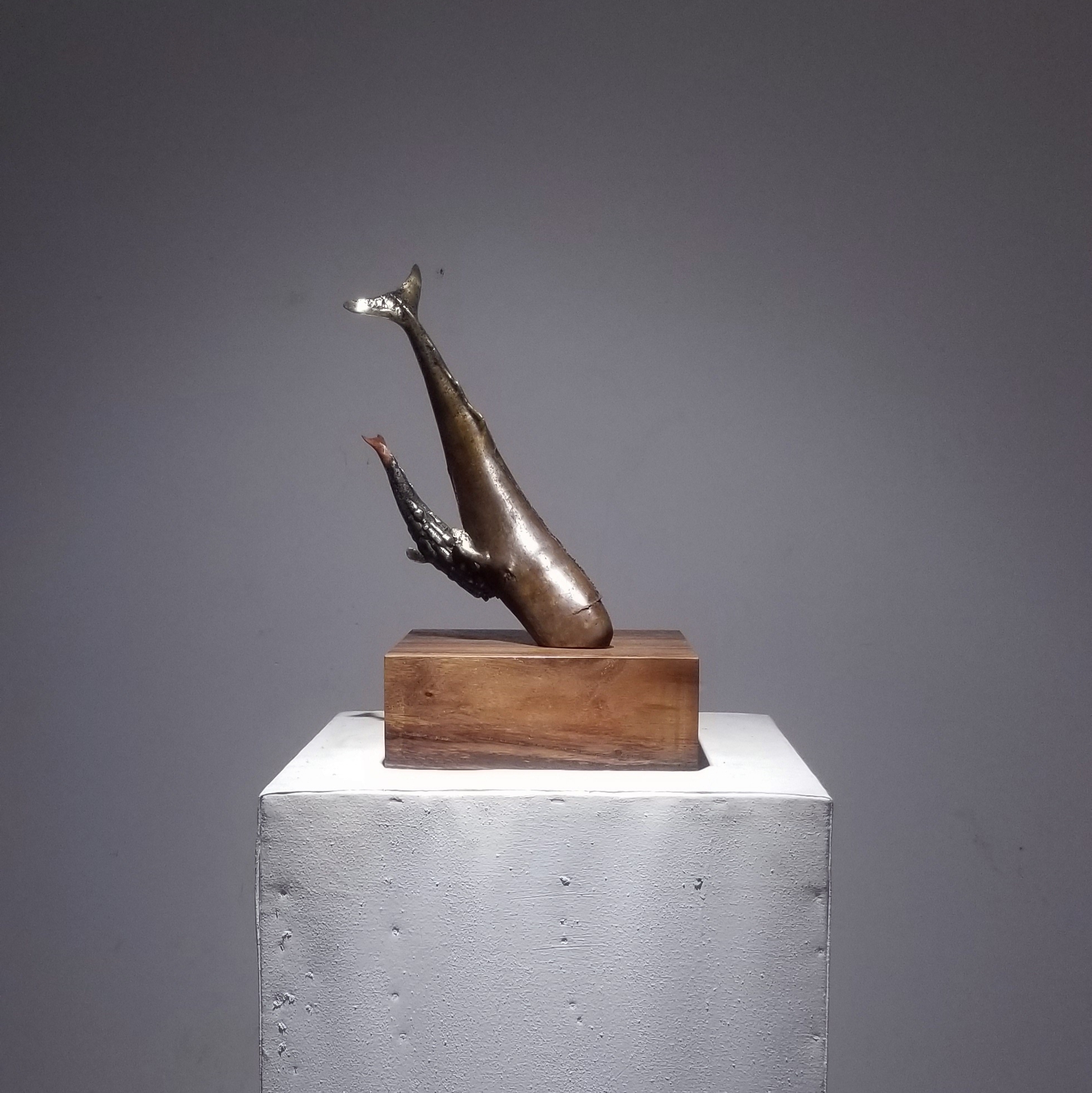 《逃·篱》_GAFA谢杰-站酷ZCOOL