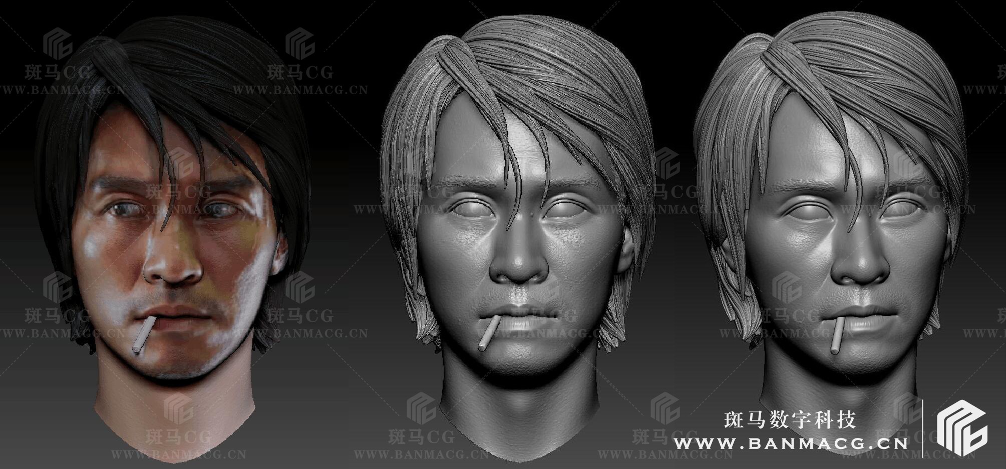肖像头雕定制斑马cg 站酷zcool