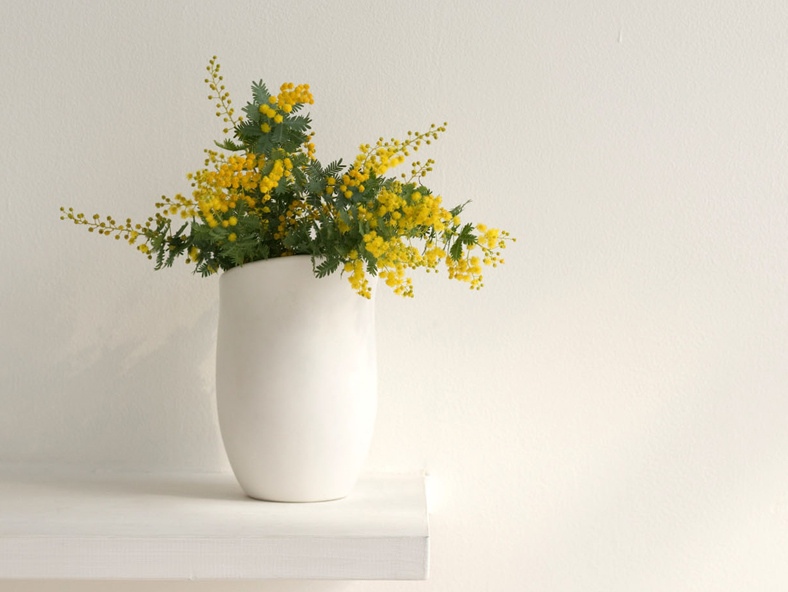 拾光花房官网_Miss_icy-站酷ZCOOL