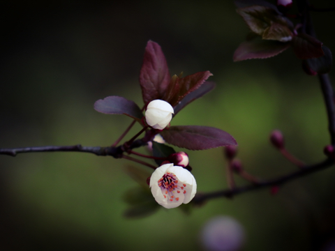 寂寂_鲜鲜TAN-站酷ZCOOL