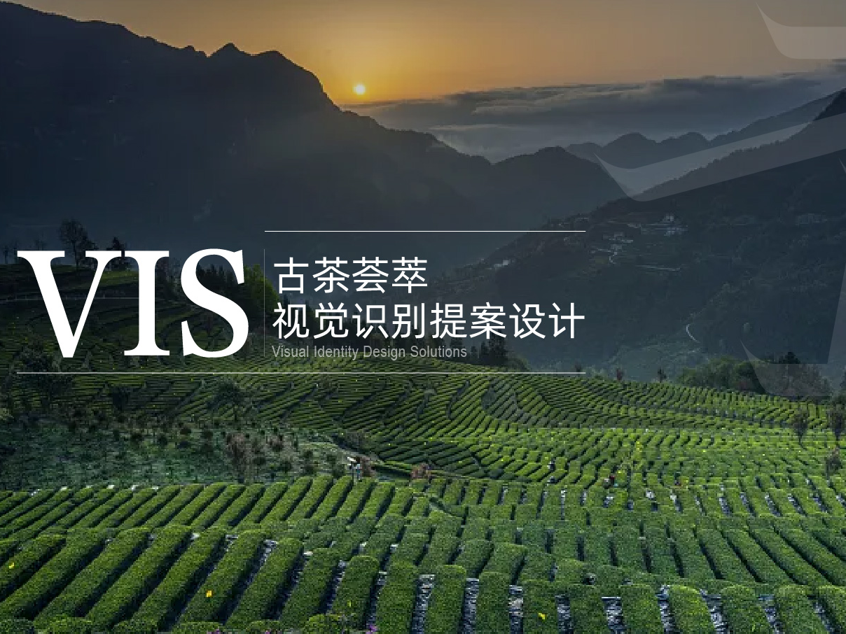 古茶荟萃 | 茶 | VIS_Shi丫丫丫吖-站酷ZCOOL