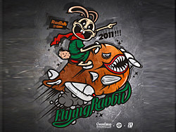 Flying Rabbit 2011_onionoo-站酷ZCOOL