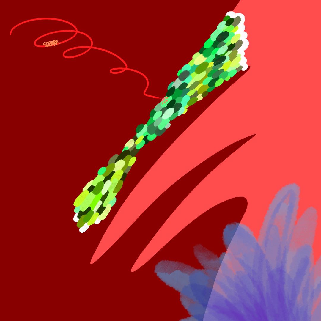 坚_sderrr-站酷ZCOOL