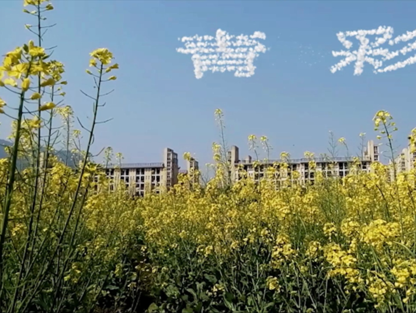 青彩_Davey_-站酷ZCOOL