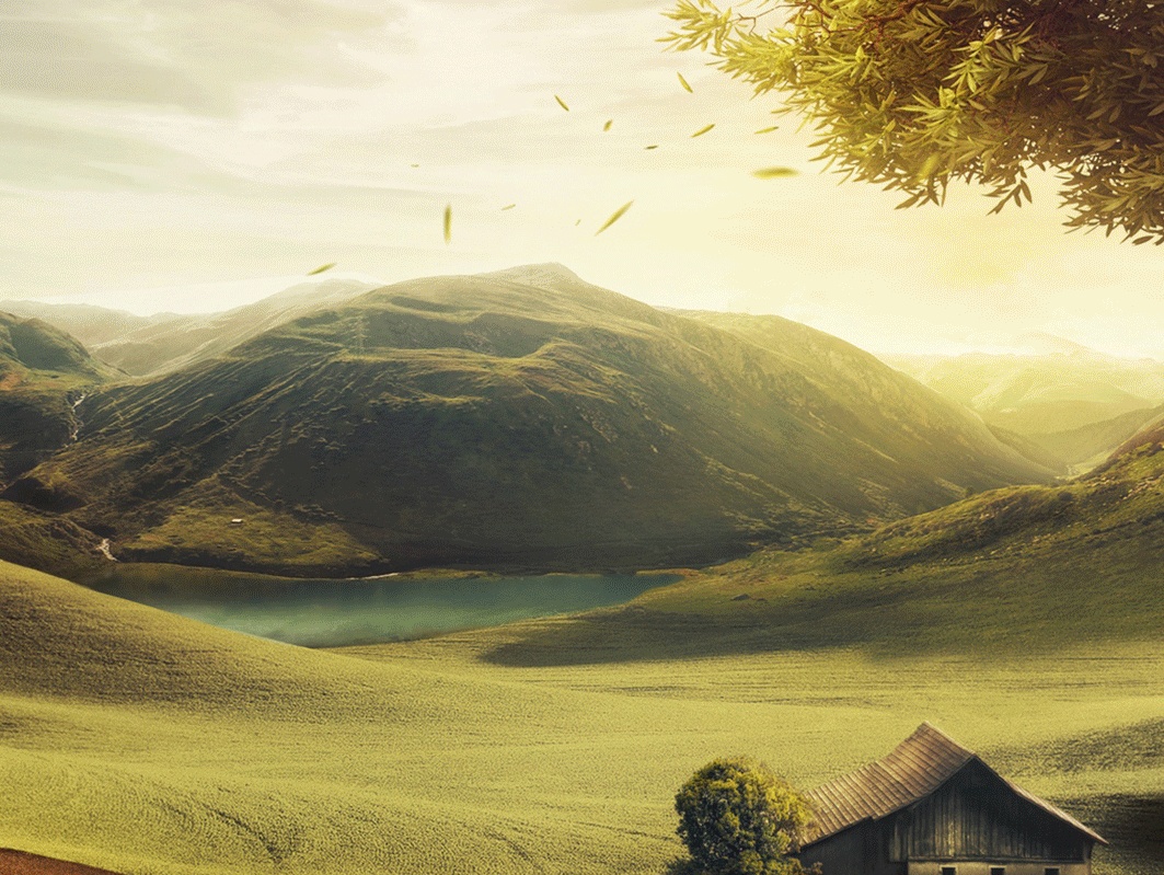 banner_weiya_weiya-站酷ZCOOL