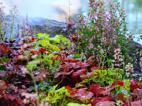 罗红摄影艺术馆园林景观一角_蜗牛李2006-站酷ZCOOL