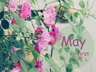 may--first_糖子sl-站酷ZCOOL