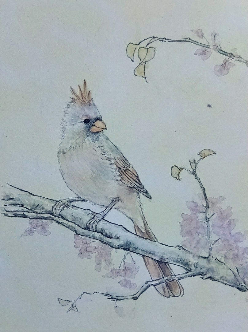 习作_叶靓790508-站酷ZCOOL