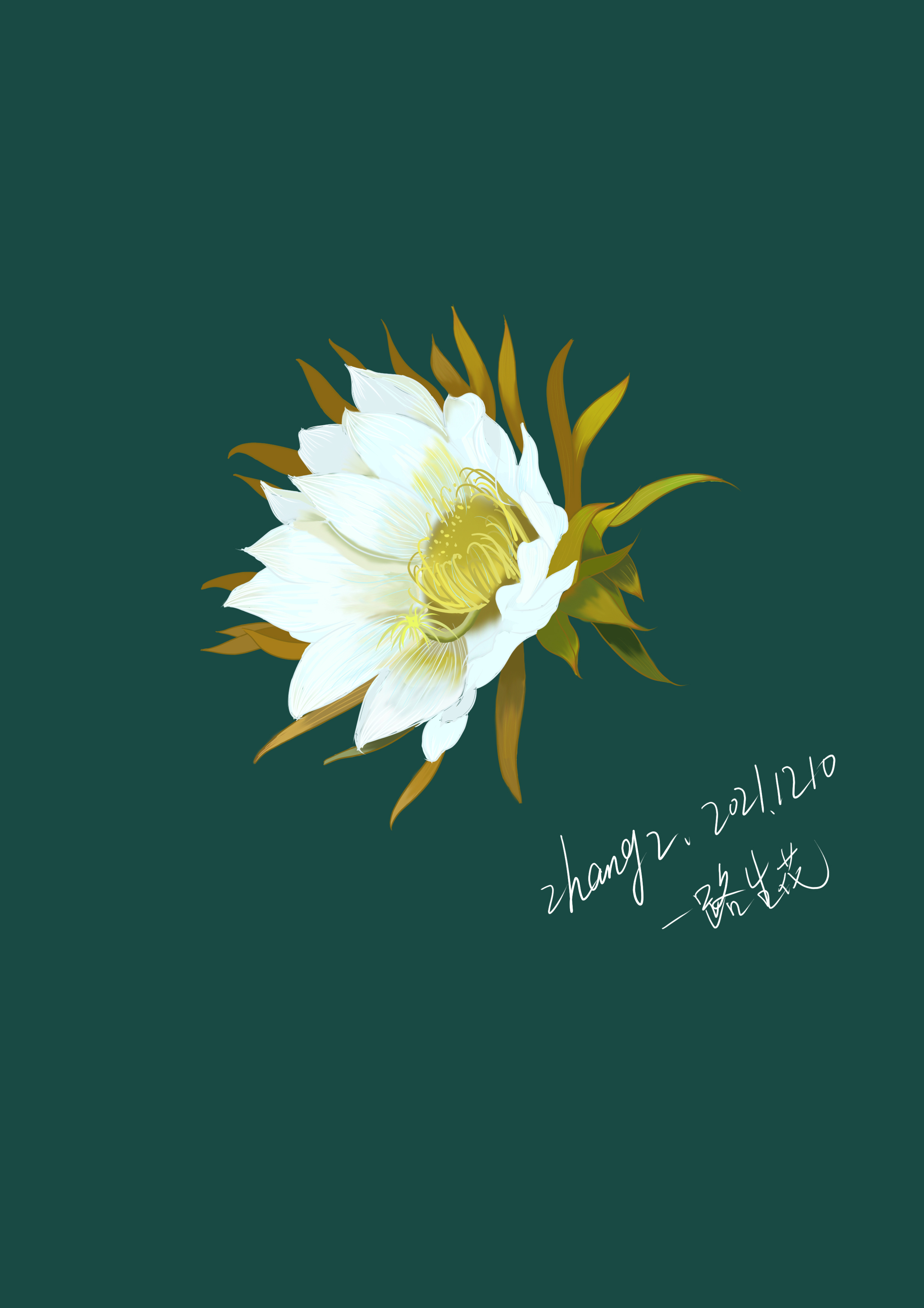 一路生花_Z张Hang-站酷ZCOOL