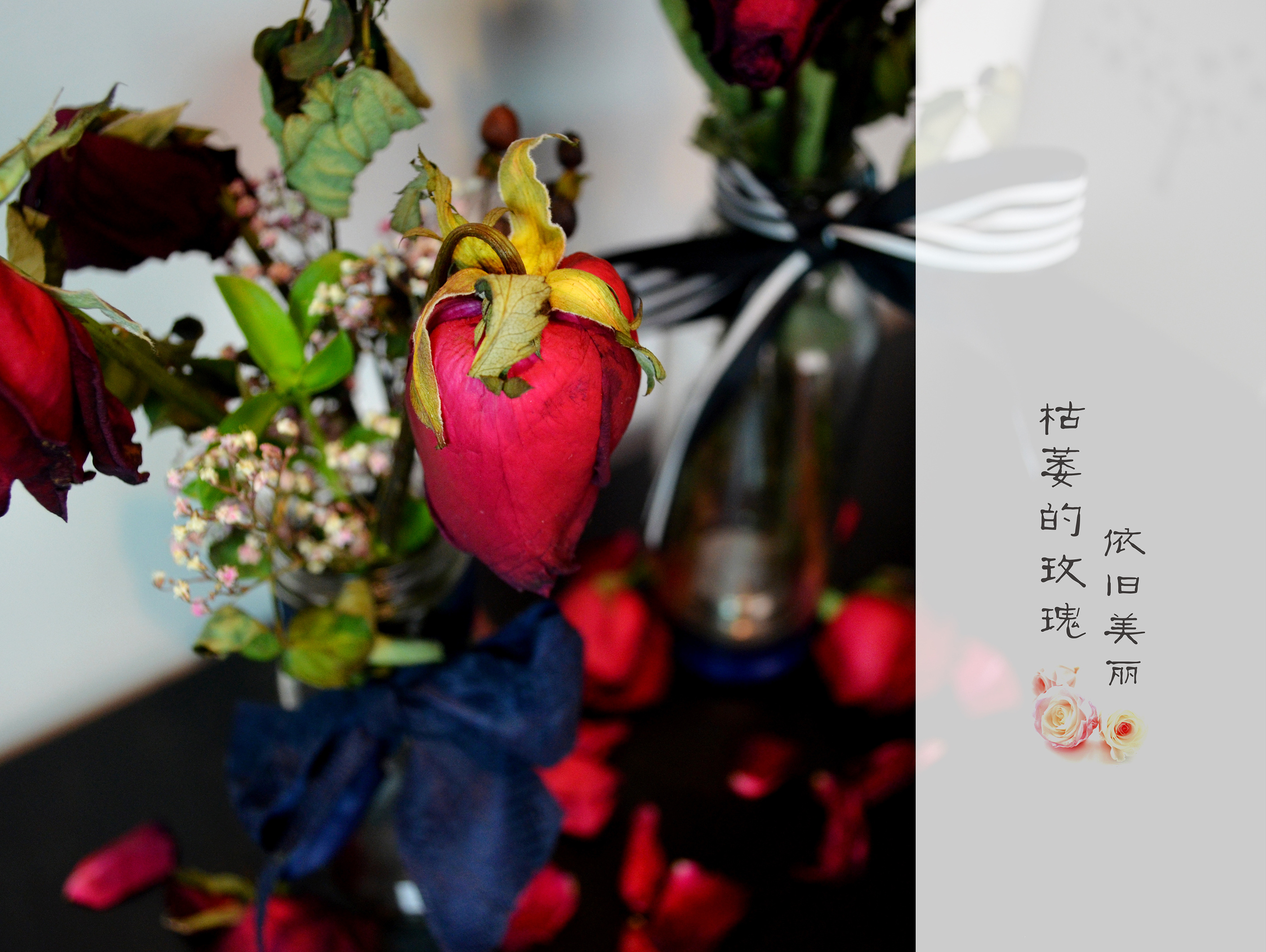 枯萎的玫瑰_wiviya-站酷ZCOOL