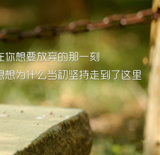 I like_北极0903-站酷ZCOOL