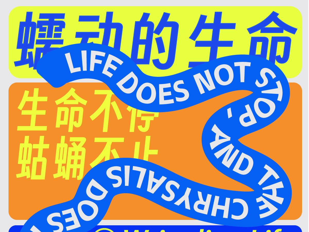 DAY27_酥单糖-站酷ZCOOL