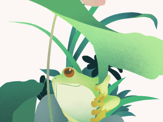 夏日蛙鸣_cattus_黑猫-站酷ZCOOL