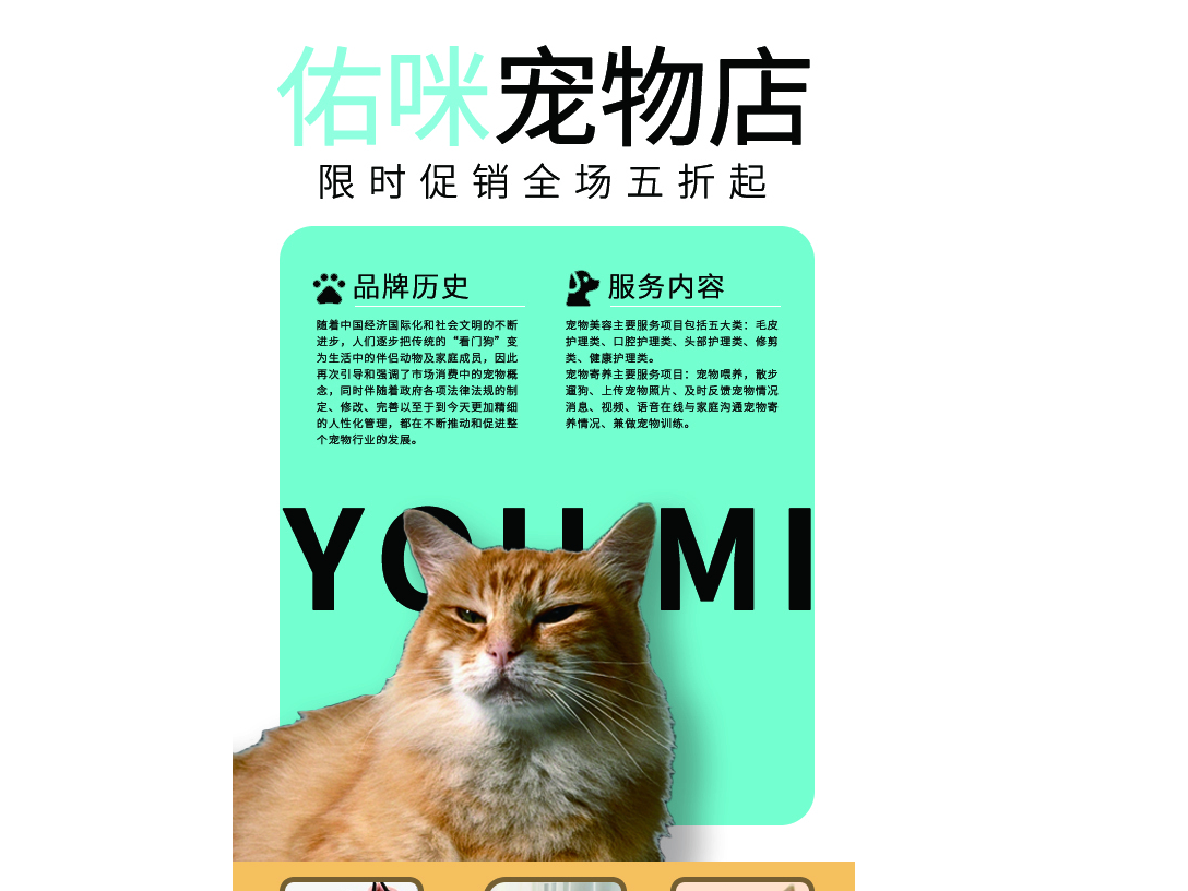 宠物灯箱海报_跑调的猫-站酷ZCOOL