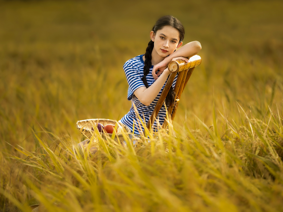 稻谷熟了_韦小宝LXLX-站酷ZCOOL