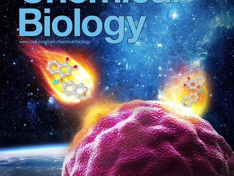 SCI学术期刊杂志封面设计/科研绘图/ Cell Chem. Bio._北京中科幻彩-站酷ZCOOL