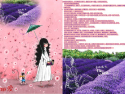 薰衣草....._lanyangyang-站酷ZCOOL