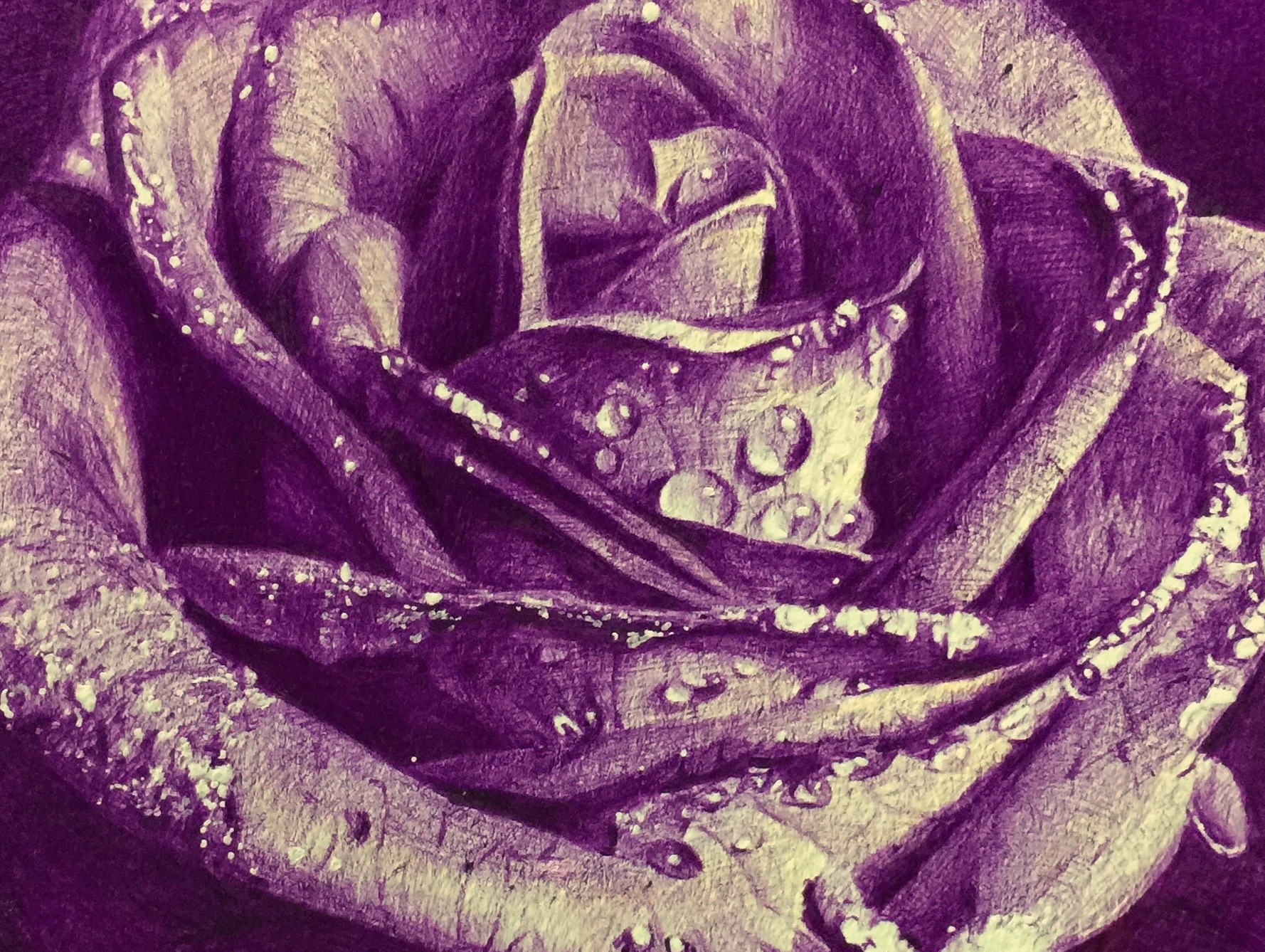 Jm圆珠笔手绘系列_jam设计-站酷ZCOOL