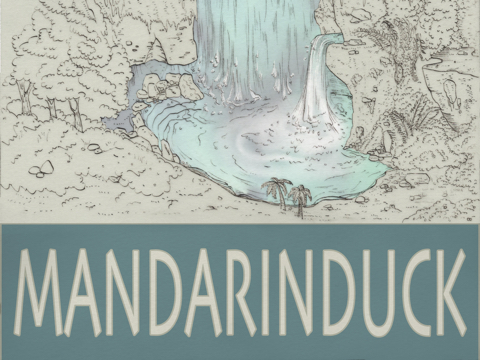 Mandarinduck（封面）_Gin_n777-站酷ZCOOL