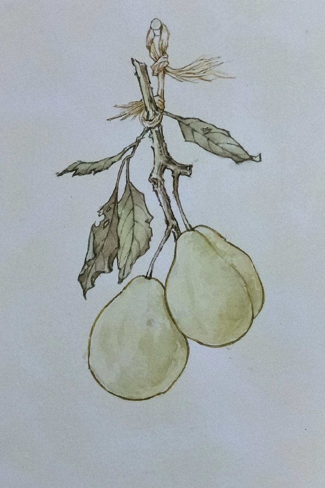 习作_叶靓790508-站酷ZCOOL