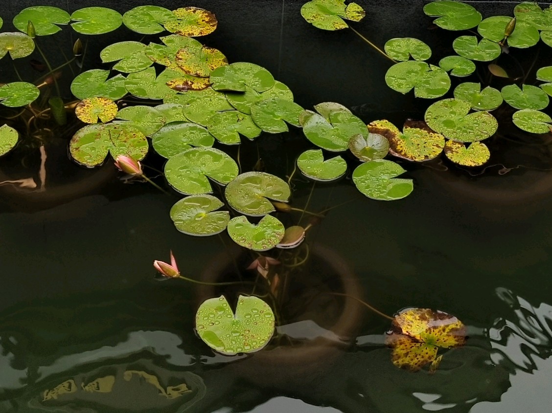 拍摄于上海新天地_nianfei-站酷ZCOOL