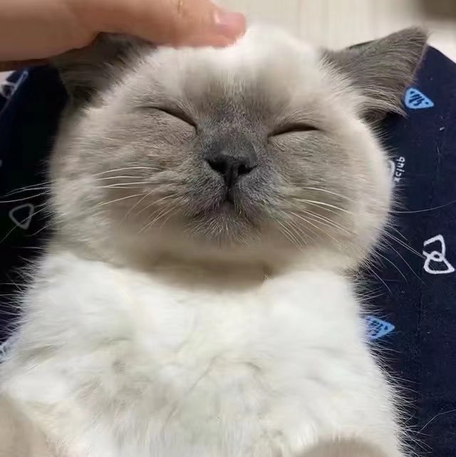 炙心Violet创作者主页_普洱插画师-站酷ZCOOL