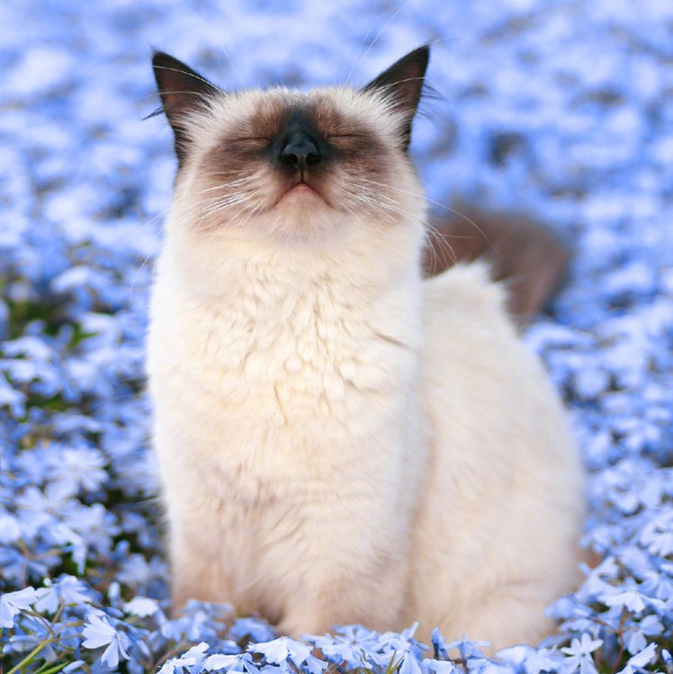 晓画手_Zora个人主页_扬州插画师-站酷ZCOOL