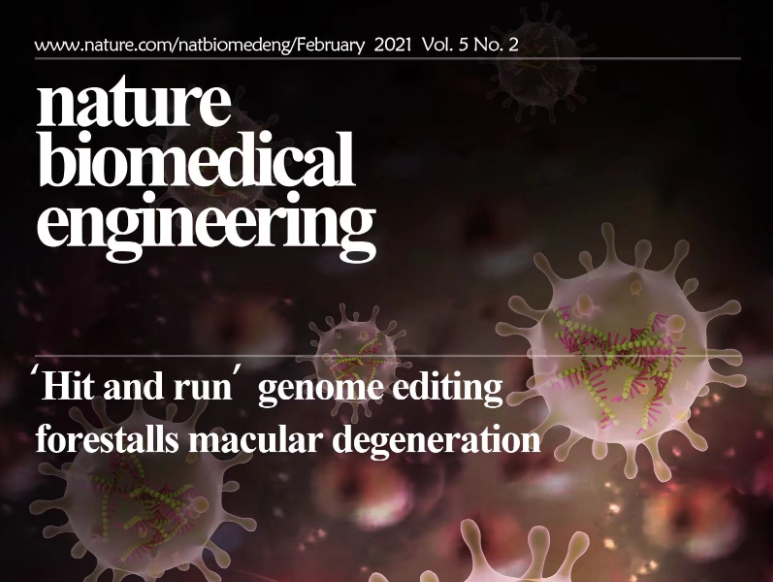 nature biomedical engineering期刊封面图_scihua-站酷ZCOOL