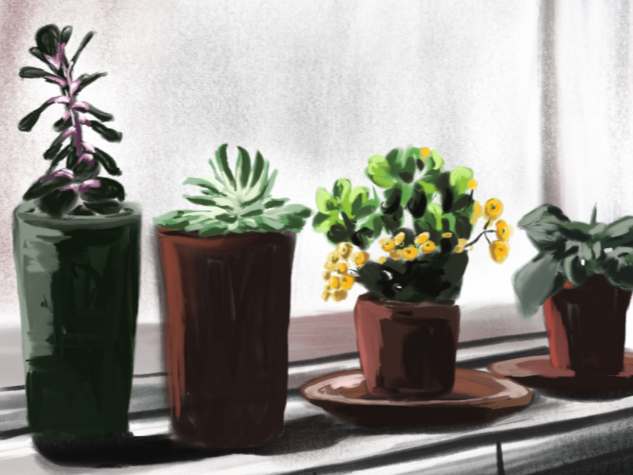 质感插画打卡挑战-day4_麻田麻田-站酷ZCOOL