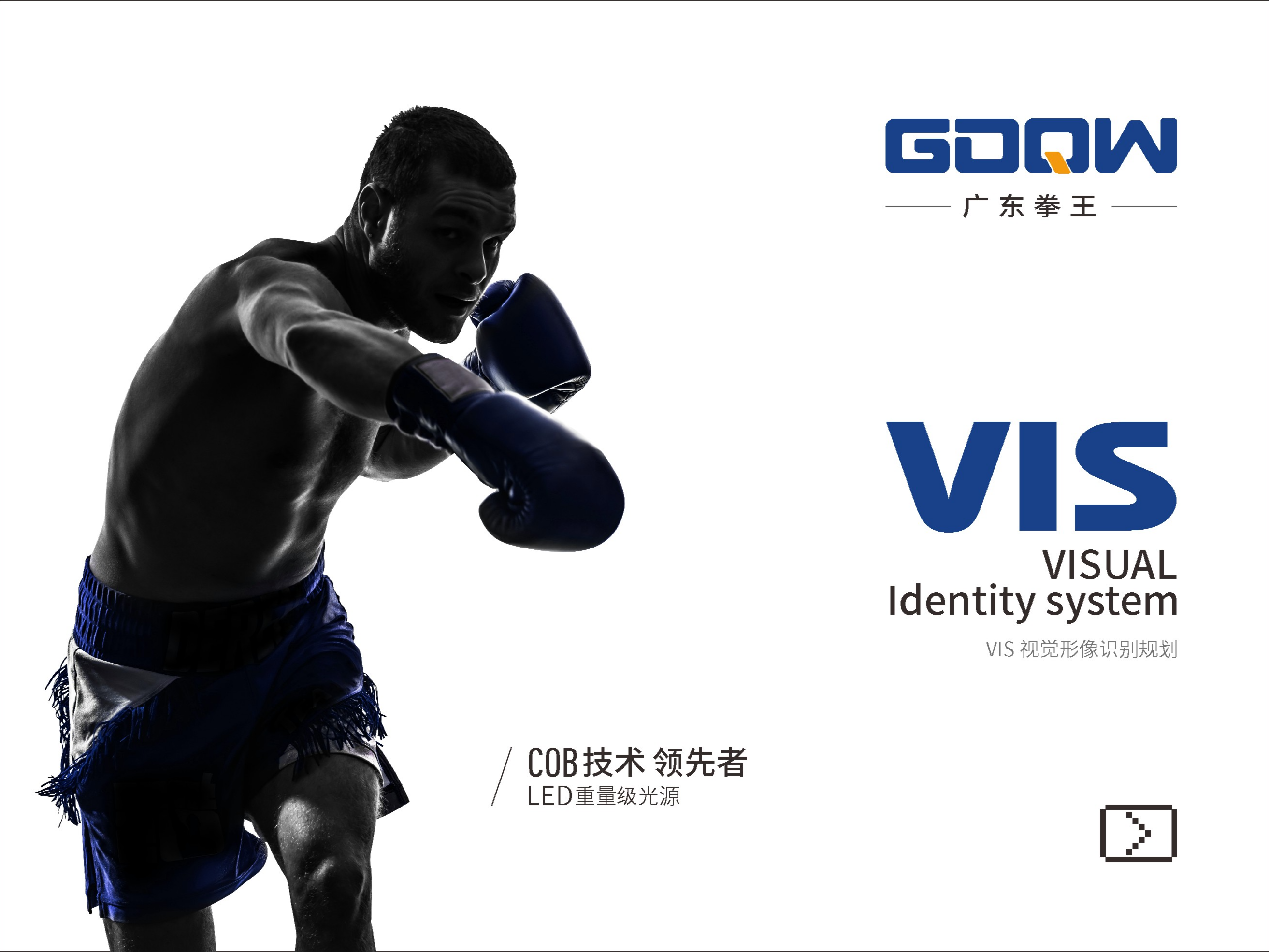 VI设计丨企业VI丨综合手册丨企业手册丨品牌VI_大道名扬品牌策划-站酷ZCOOL