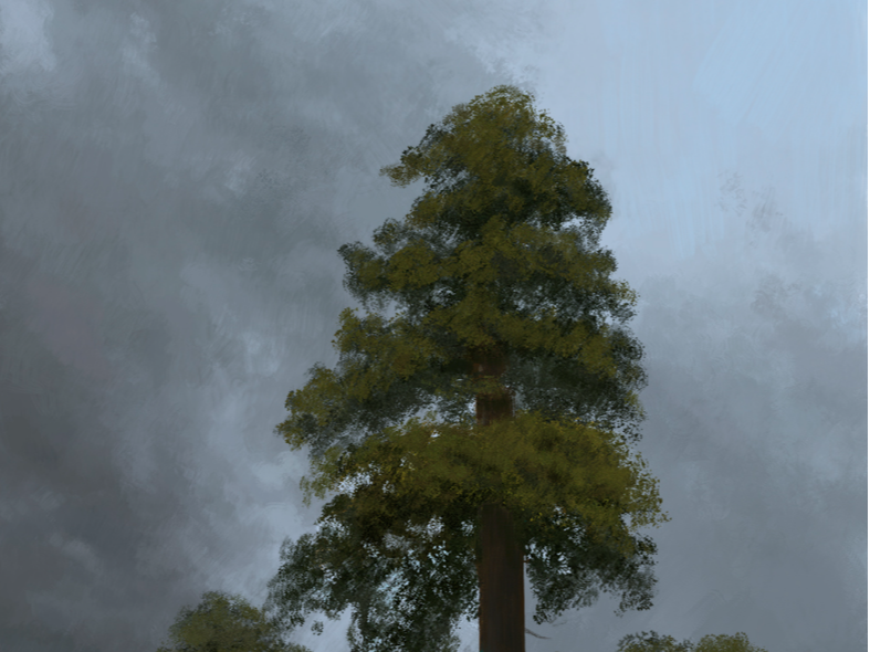 shu_吃多了长肉肉-站酷ZCOOL