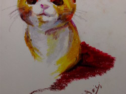 喵~_KATA种籽-站酷ZCOOL