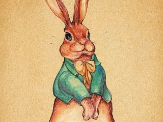 兔子_Fifi文艺Buff-站酷ZCOOL