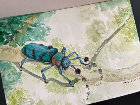 路遇天牛_U秀秀-站酷ZCOOL