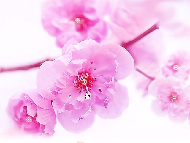 花朵_Throb_m-站酷ZCOOL