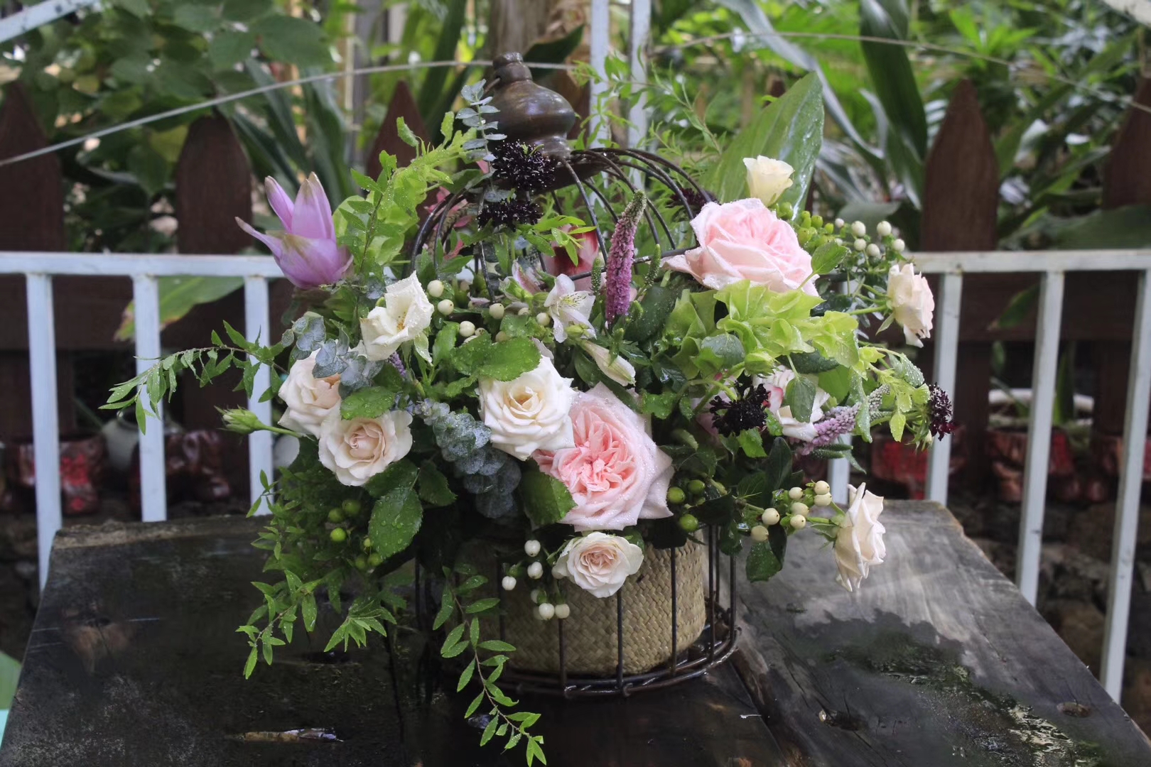 闲看花开，静待花落，冷暖自知，干净如始。_柳斌-站酷ZCOOL