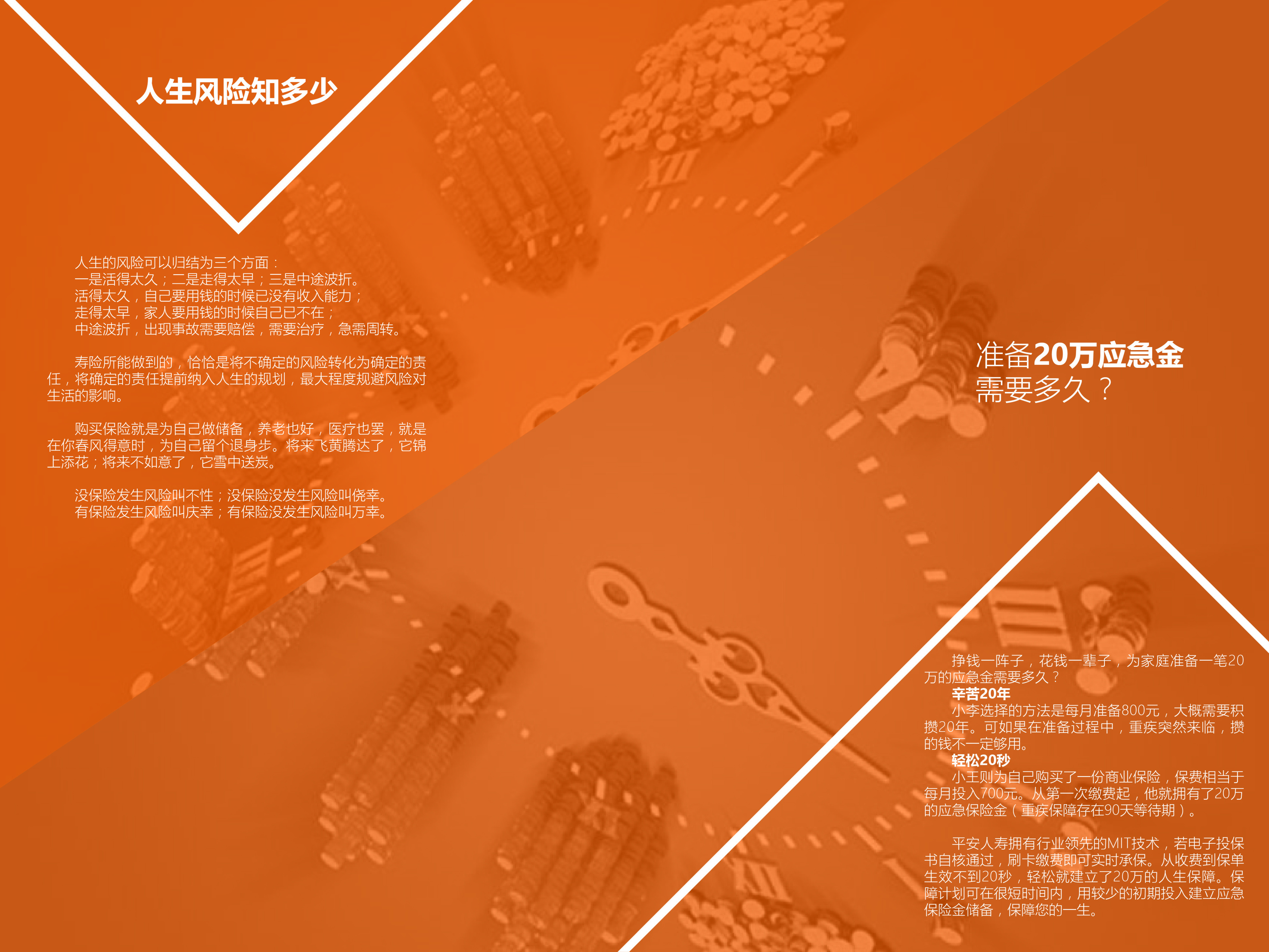 常青树画册2_第2版_SpeedG-站酷ZCOOL