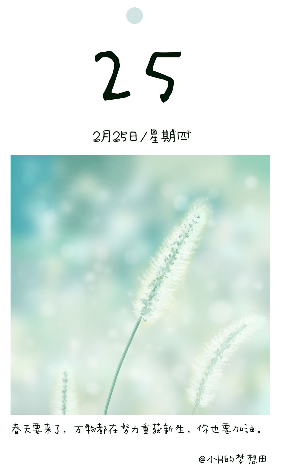 365天手绘日历_小H的梦想田-站酷ZCOOL