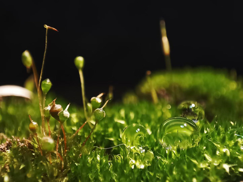 生命力_sea007-站酷ZCOOL