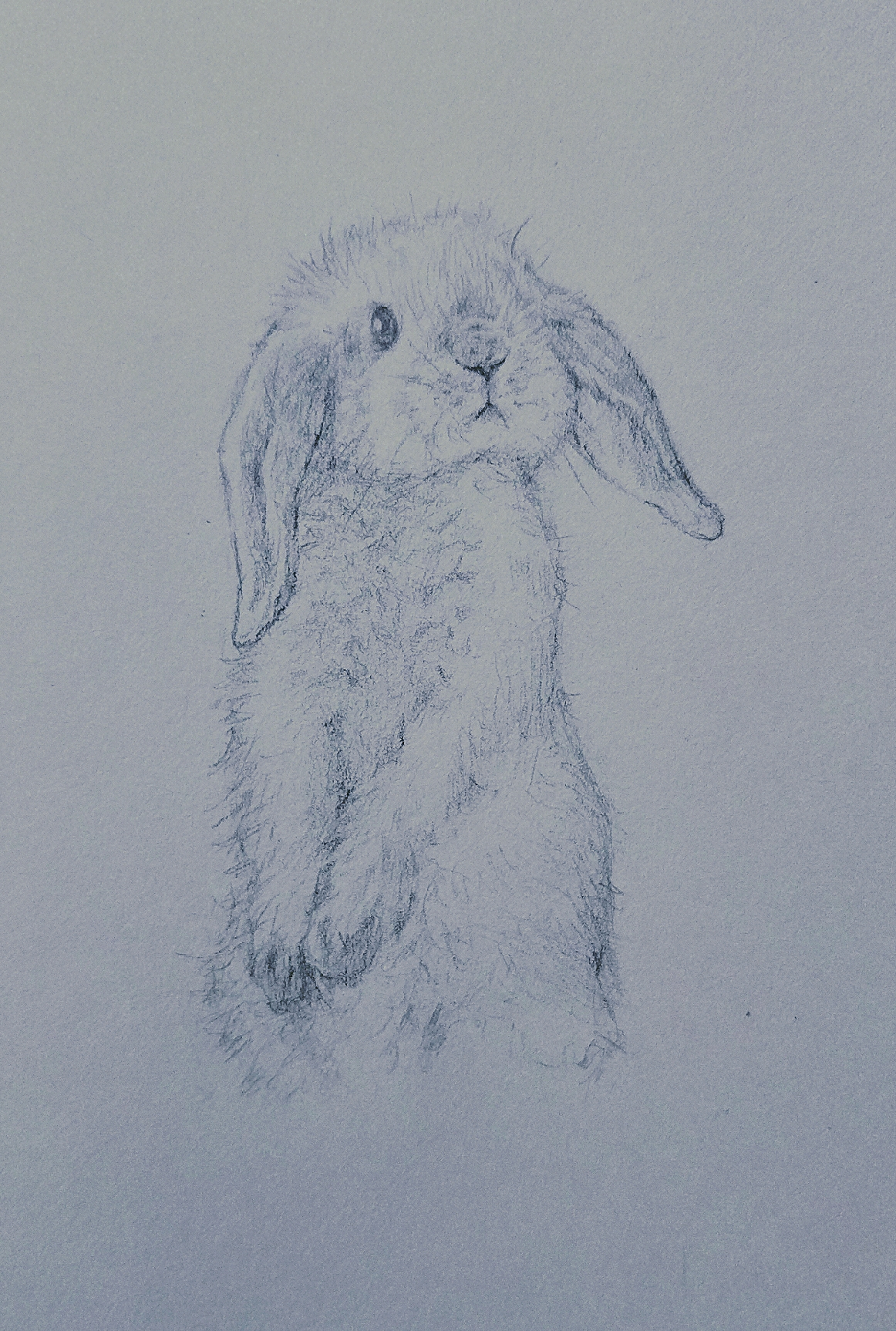 速写_叶靓790508-站酷ZCOOL