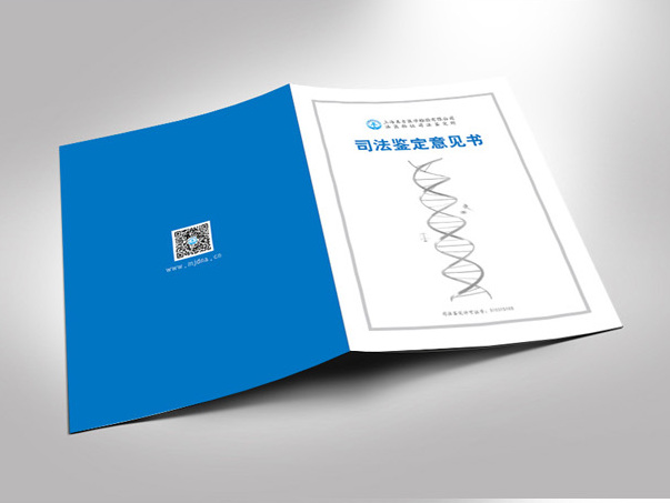 简洁、严谨的司法报告_Evelyn_yan-站酷ZCOOL