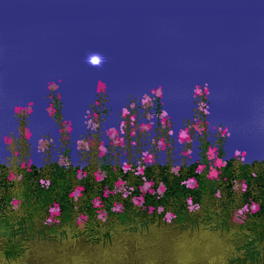 梦里的夜_CiCi的小羊仔-站酷ZCOOL