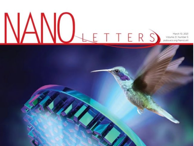 Nano letters期刊封面图_scihua-站酷ZCOOL