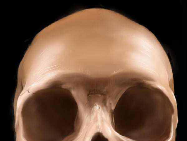 LIANXI_夏天的耳朵-站酷ZCOOL