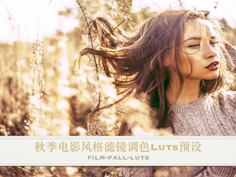 电影风格秋季人像照片调色Luts预设_Mac米奇-站酷ZCOOL