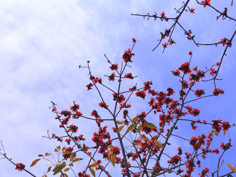 随手拍_暮冬MuDong-站酷ZCOOL