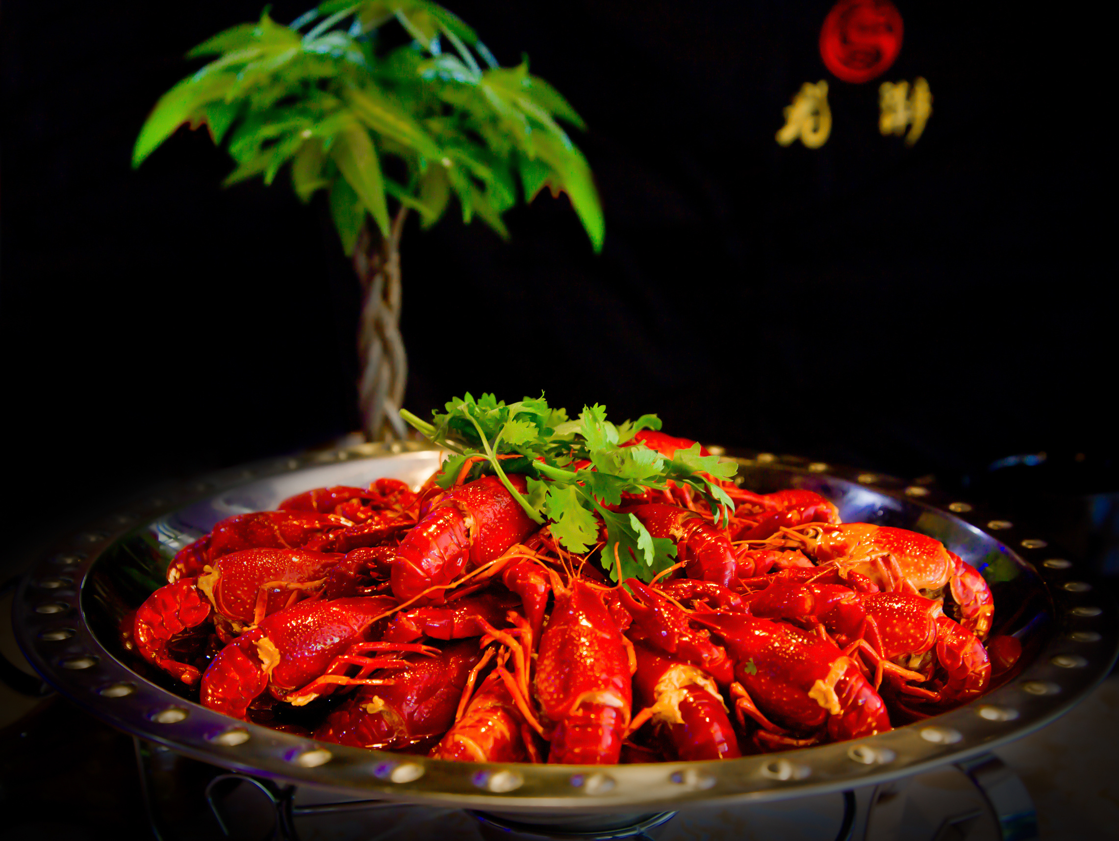 美食静物拍摄_高度决定视野-站酷ZCOOL